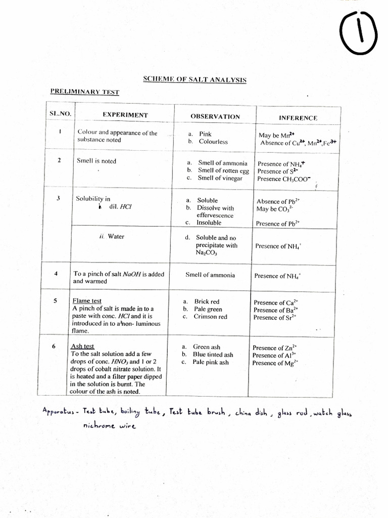Chemistry Lab Scheme of Salt Analysis Easy | PDF | Chemical Substances ...