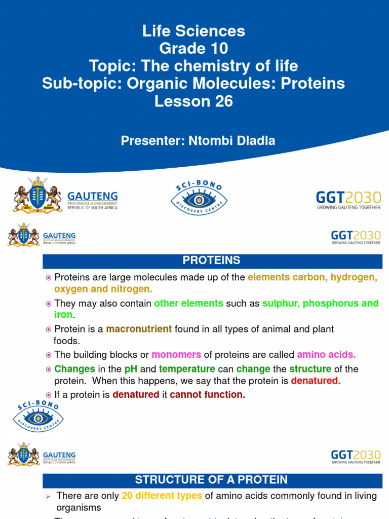Life Sciences Gr.10 Lesson 26 Organic Molecules (Proteins) (1) | PDF ...
