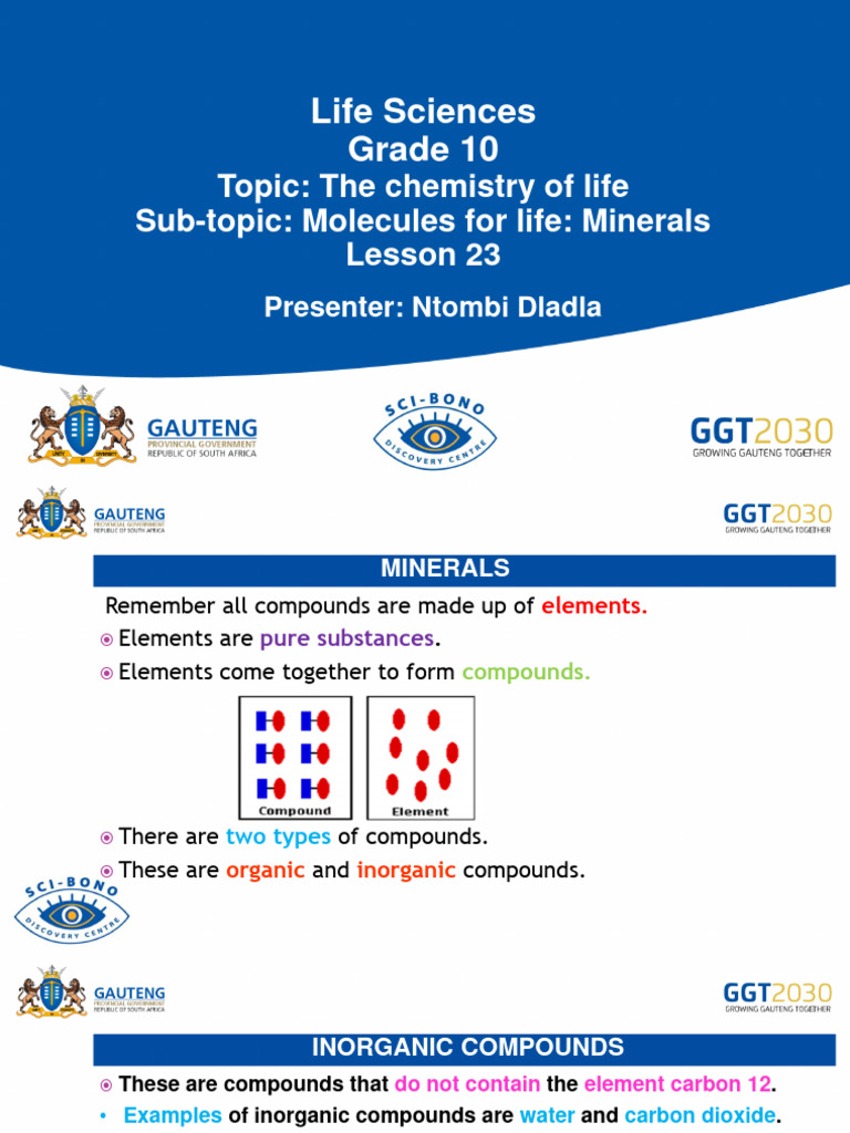 Life Sciences Gr.10 Lesson 23 Molecules For Life (Minerals) | PDF ...
