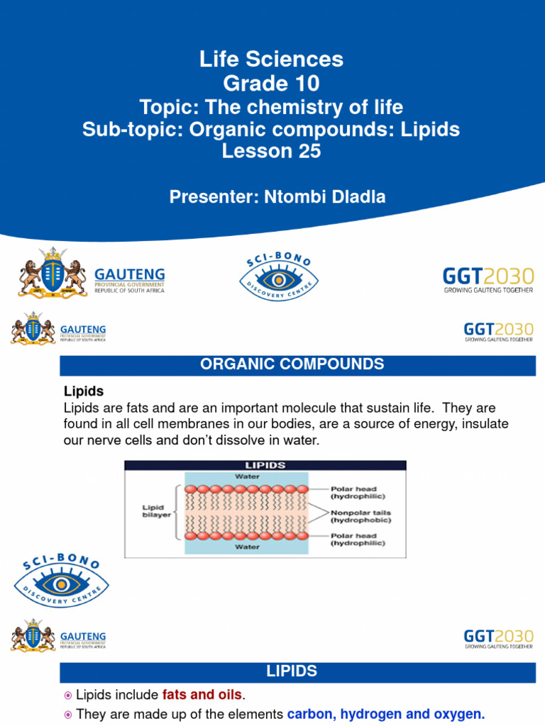 Life Sciences Gr.10 Lesson 25 Organic Compounds. Lipids | PDF | Lipid | Fat