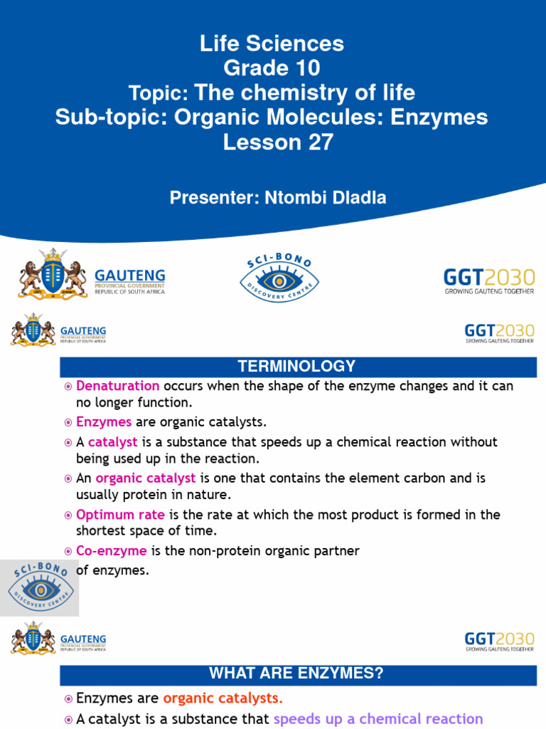 Life Sciences Gr.10 Lesson 27 Organic Molecules (Enzymes) | PDF ...