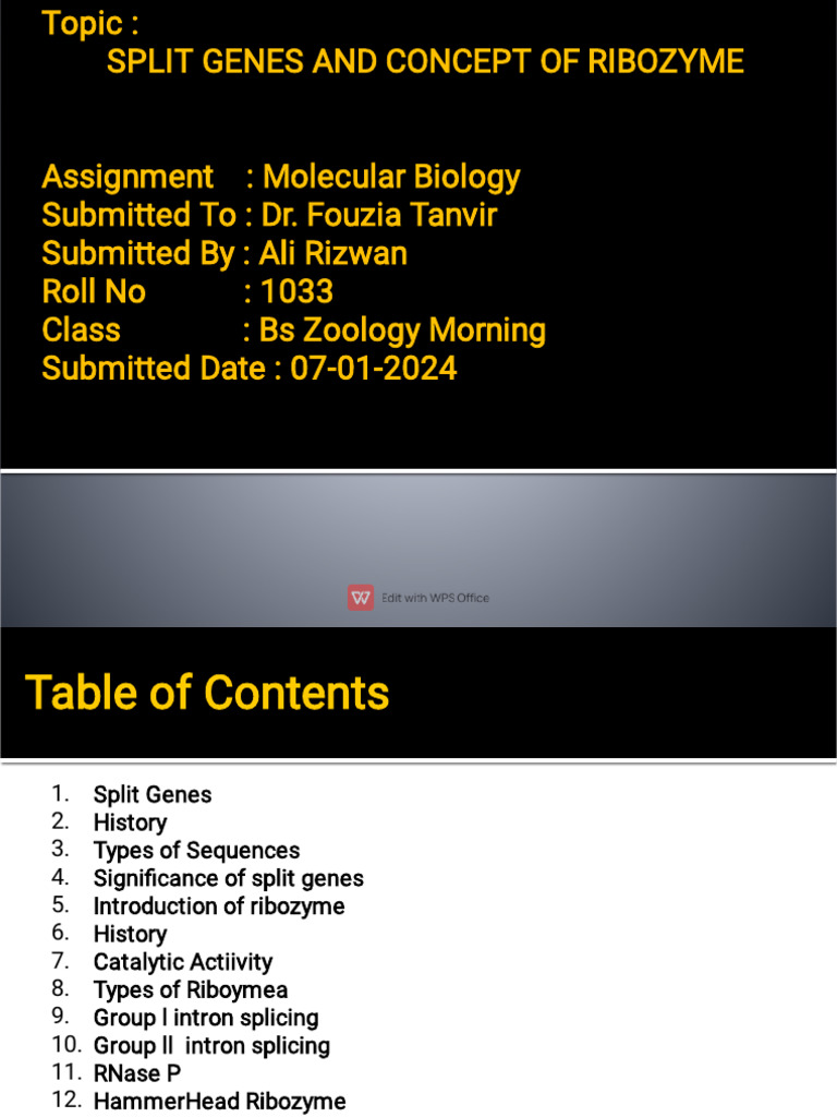 Split Genes and Ribozymes Explained | PDF | Intron | Rna