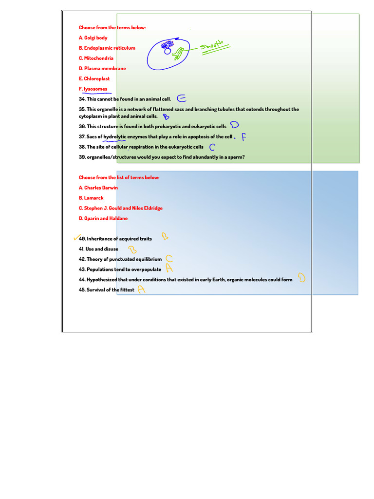 P2 Est 2024 | PDF | Biology | Biochemistry