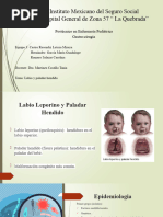 Caída de la Mollera en Bebés: Causas y Tratamiento | PDF | Cráneo