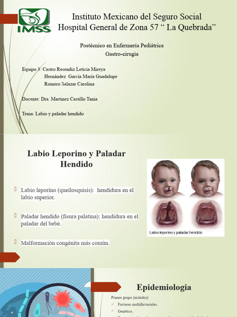 Labio y Paladar Hendido: Aspectos Clave | PDF | Boca | Anatomía humana