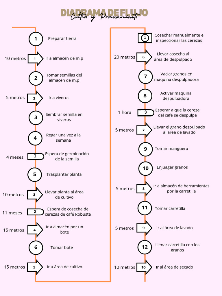 Diagrma de Proceso OTIDA | PDF | Máquina elevadora | café