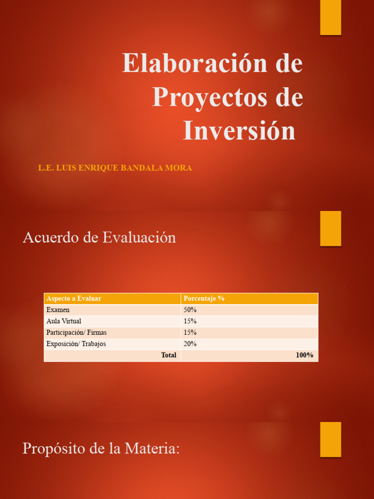 Guía para Elaborar Proyectos de Inversión | PDF | Inversiones | Business