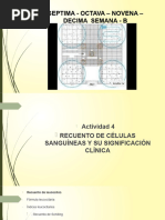 Recuento Diferencial de Leucocitos | PDF | Leucocito | Hematología