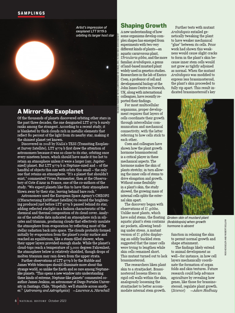 A Mirror-Like Exoplanet | PDF | Planets | Neptune
