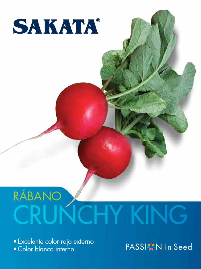 Rabado Sakata | PDF | Guatemala | Semilla