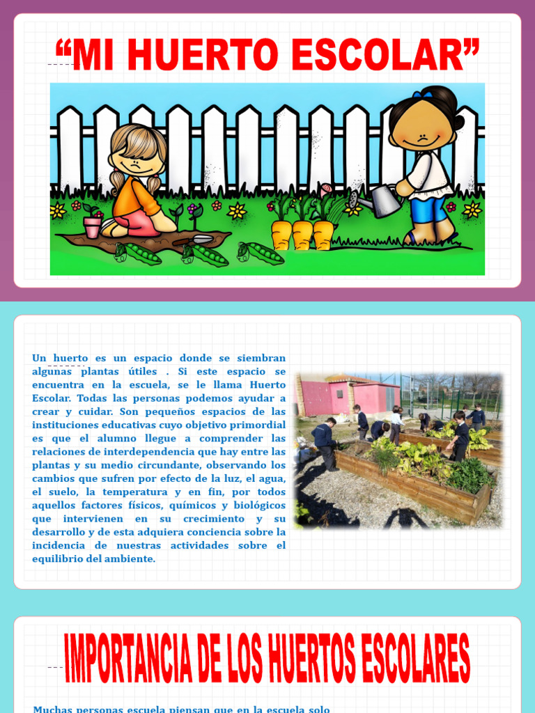 Biohuerto Escolar Primaria 2024G | PDF | Huerta | Fertilizante