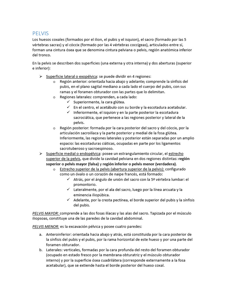PELVIS- Resumen UP3 | PDF | Pelvis | Articulación