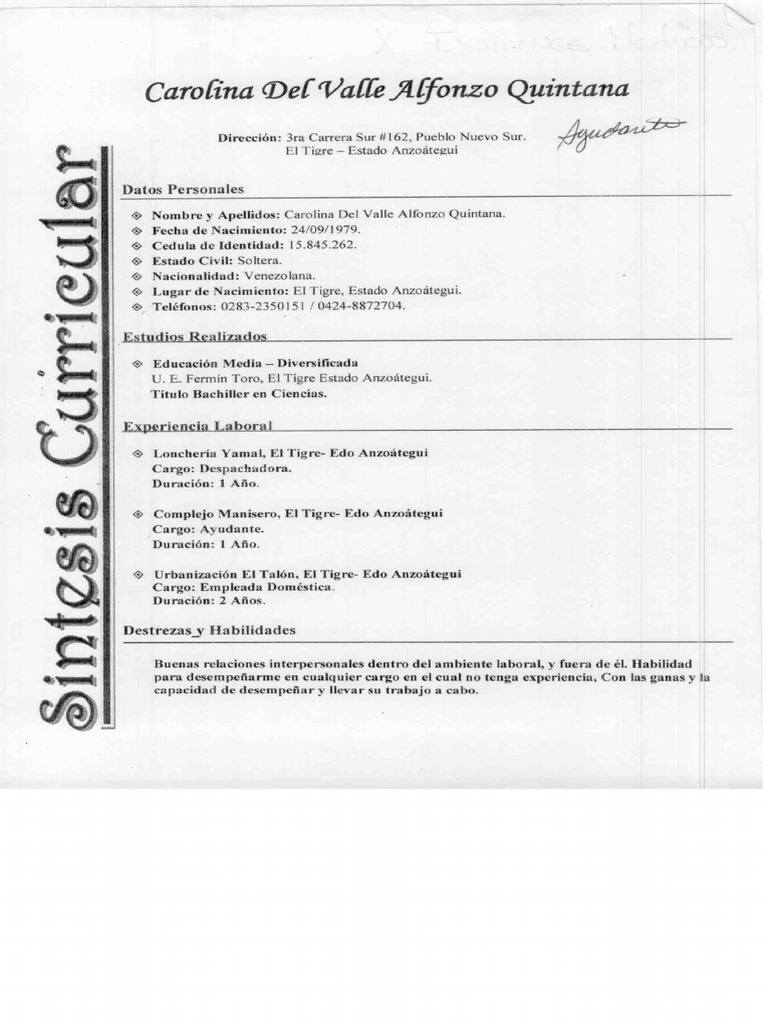 Curriculum Carolina Alfonzo | PDF