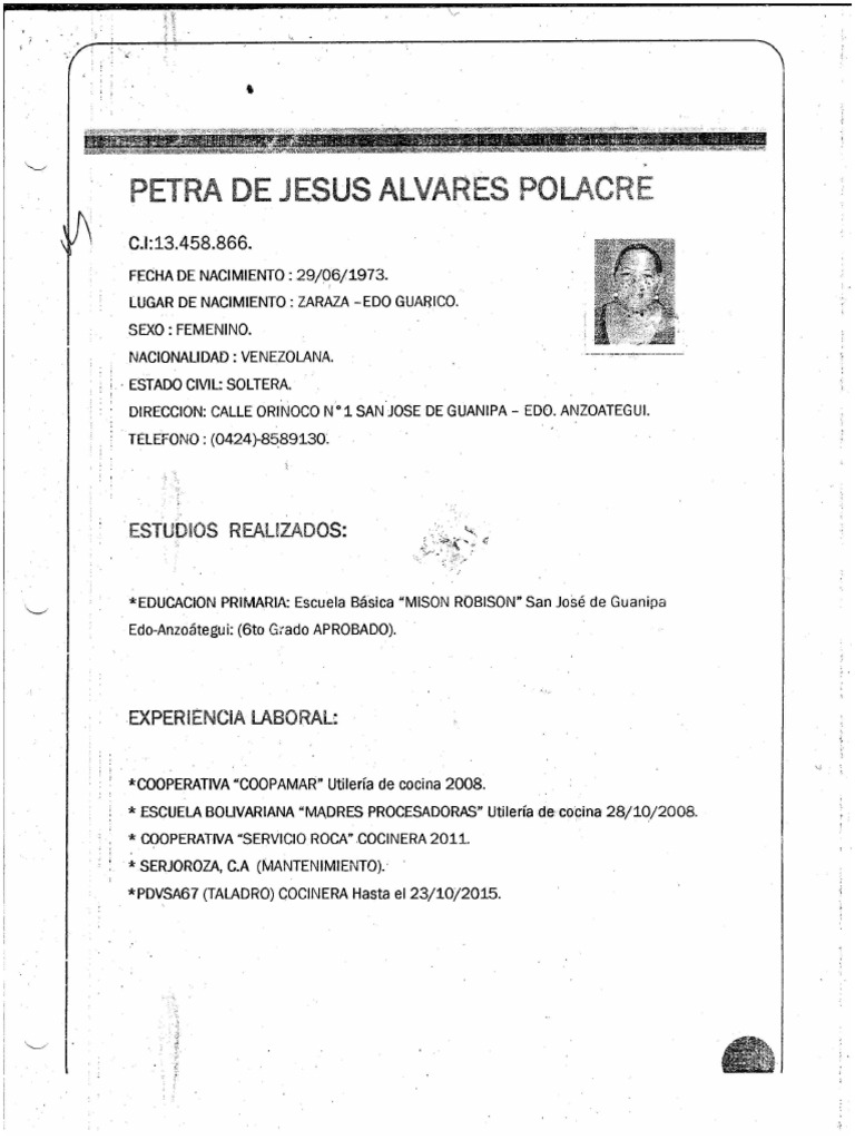 Curriculum Angela Petra | PDF