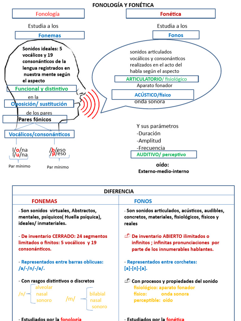 Fonología y Fonetica | PDF | Fonética | Fonología