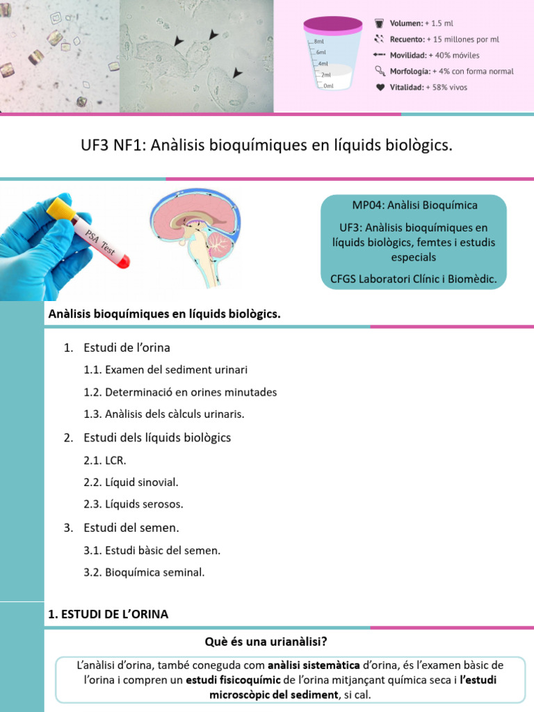 m4 Uf3 Analisis Bioquimiques en Liquids Biologics | PDF