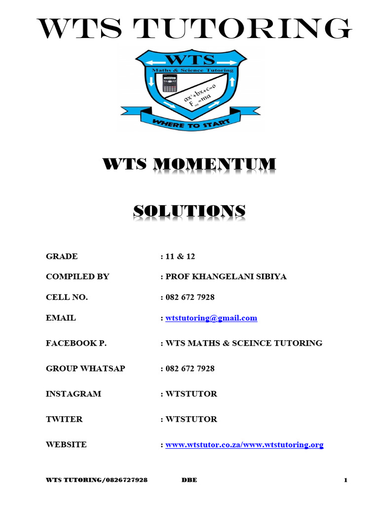 WTS Grade 12 Momentum Solutions | PDF