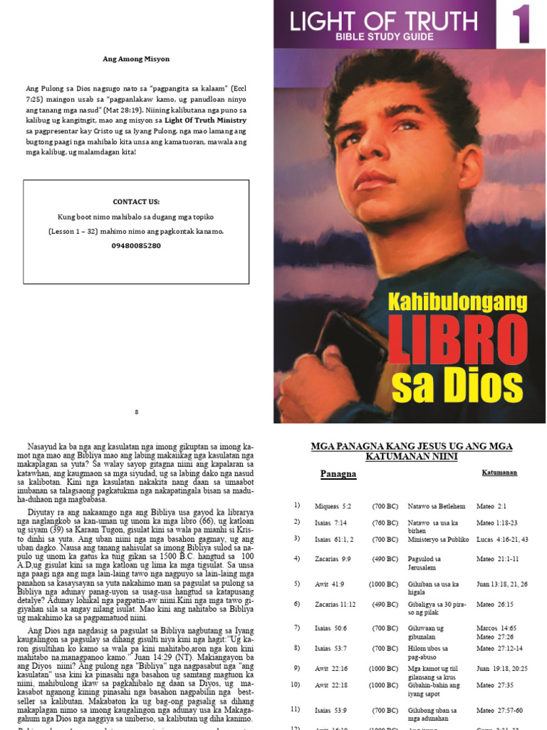 1 Kahibulongang Libro | PDF