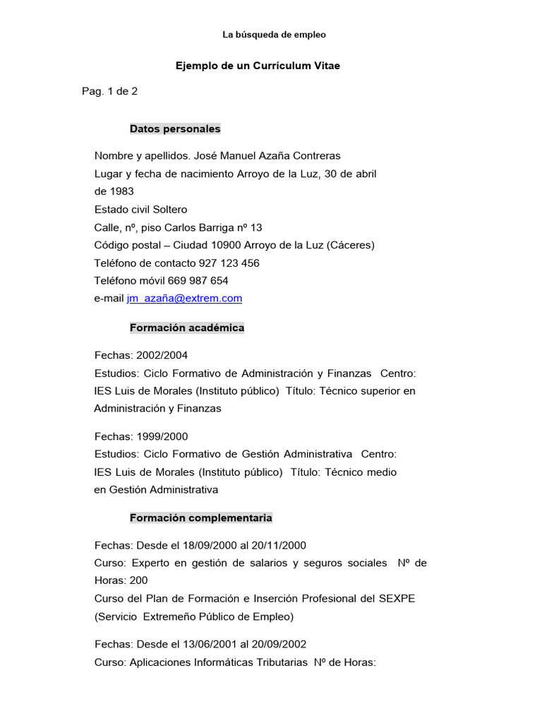 Curriculumvitae Ejemplos | PDF | Informática