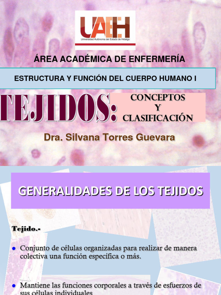 2tipos de Tejidos Del Cuerpo | PDF | Músculo | Neurona