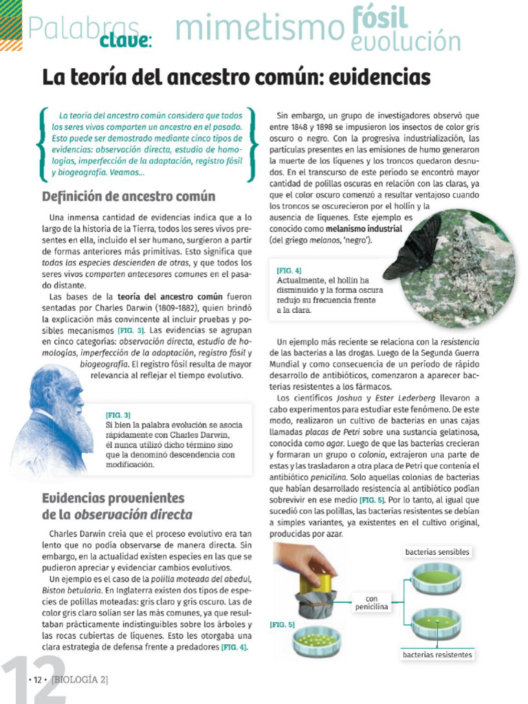 Evidencias de La Evoluci-N 2 - A-O | PDF