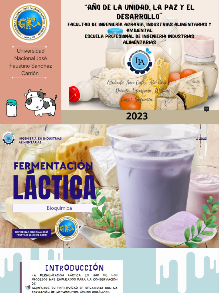 Fermentación Láctica | PDF