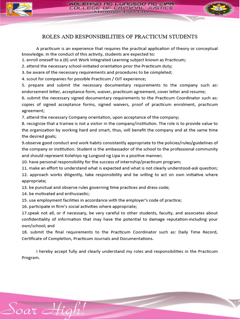 Roles and Responsibility | PDF | Cognition