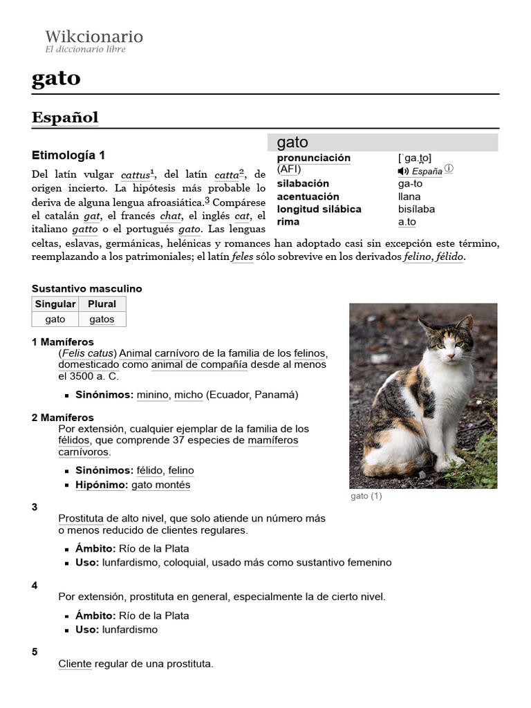 Gato | PDF | Gatos | latín