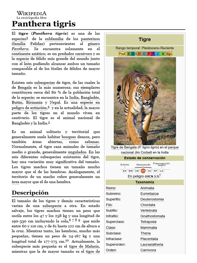 Panthera Tigris | PDF | Tigre | Felinos