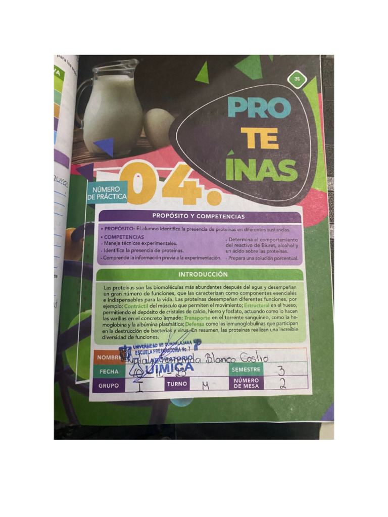 Practica de Laboratorio IV Proteinas | PDF