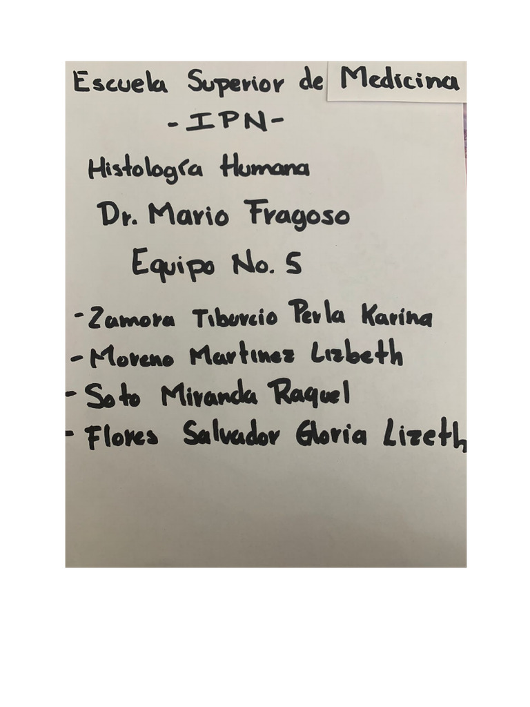 Practica 1 Celula en Interfase y División SMR | PDF