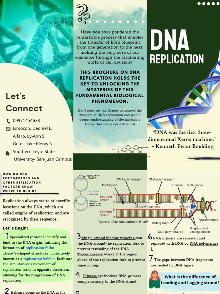 Brochure FinalPrint | PDF | Dna Replication | Dna