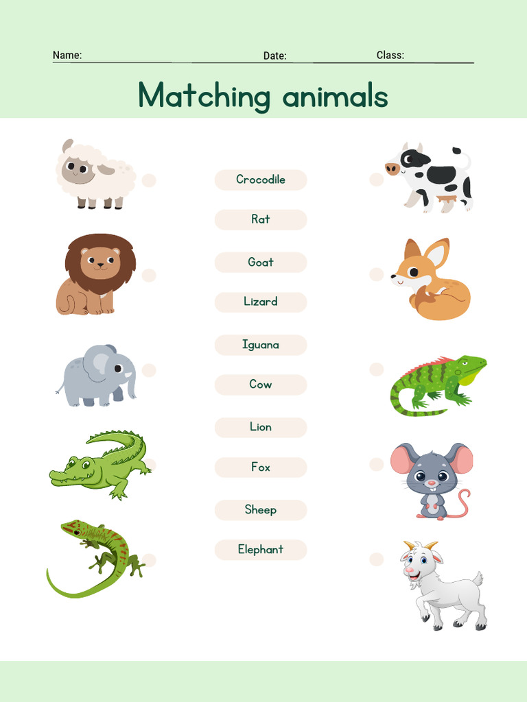 Green Beige Brown Illustrative Animals Worksheet | PDF | Zoology