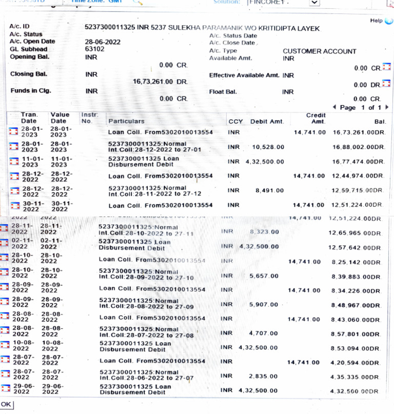 HBL Statement | PDF | Debits And Credits | Financial Services