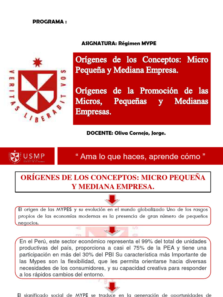 Regimen Pyme Parcial | Descargar gratis PDF | Pequeñas y medianas ...