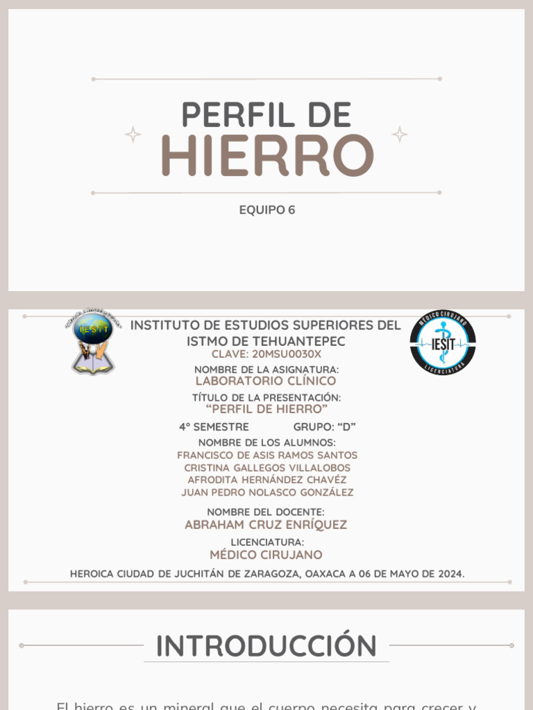 Perfil de Hierro Criss | PDF | Sangre | Anemia