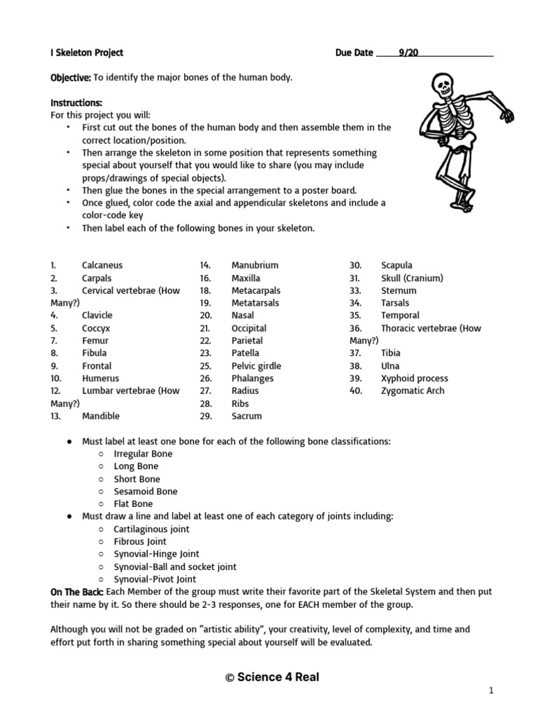 Somerton Skeleton Assessment | Download Free PDF | Skeleton | Skull