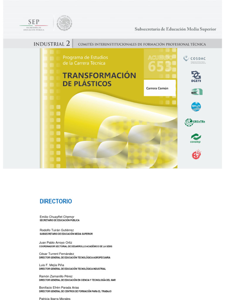 Transformacion de Plasticos | PDF | Desarrollo profesional | El plastico