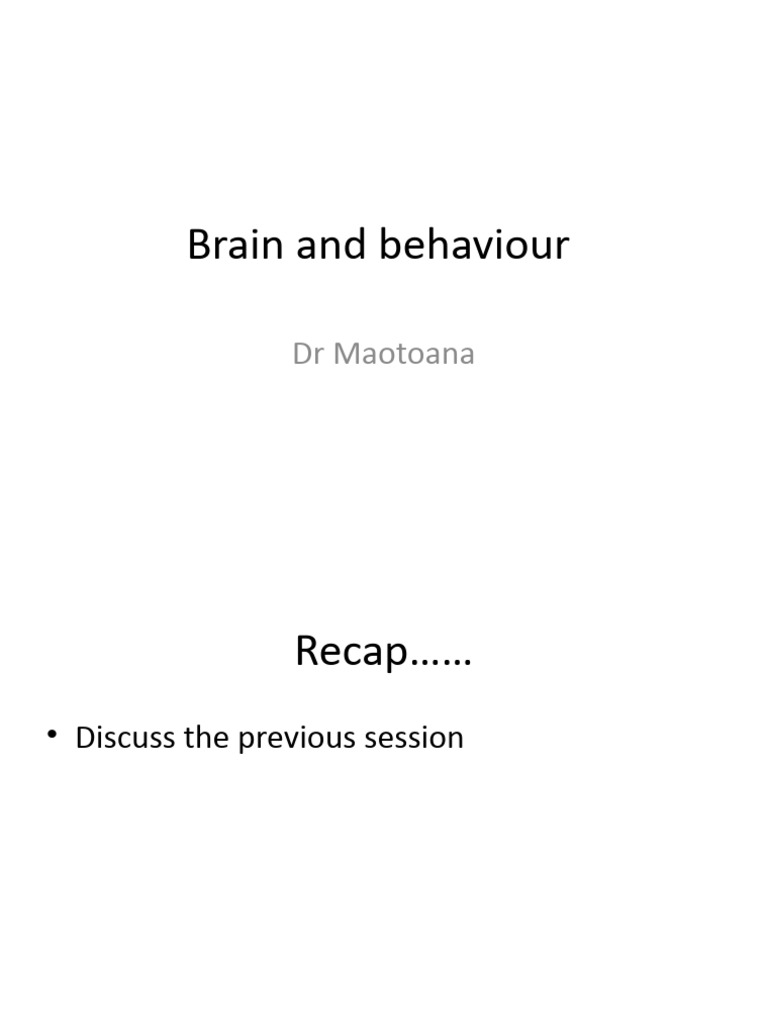 The Brain-Lesson 3 | PDF | Cerebral Hemisphere | Limbic System