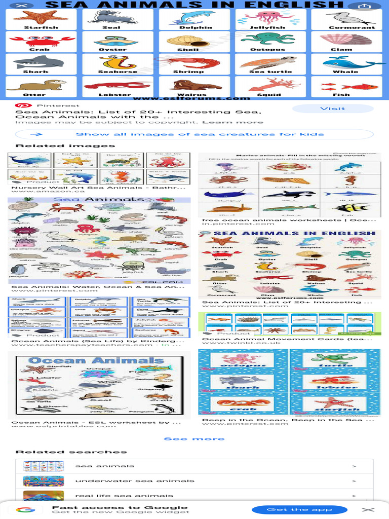Sea Creatures For Kids - Google Search | PDF | You Tube | Sea