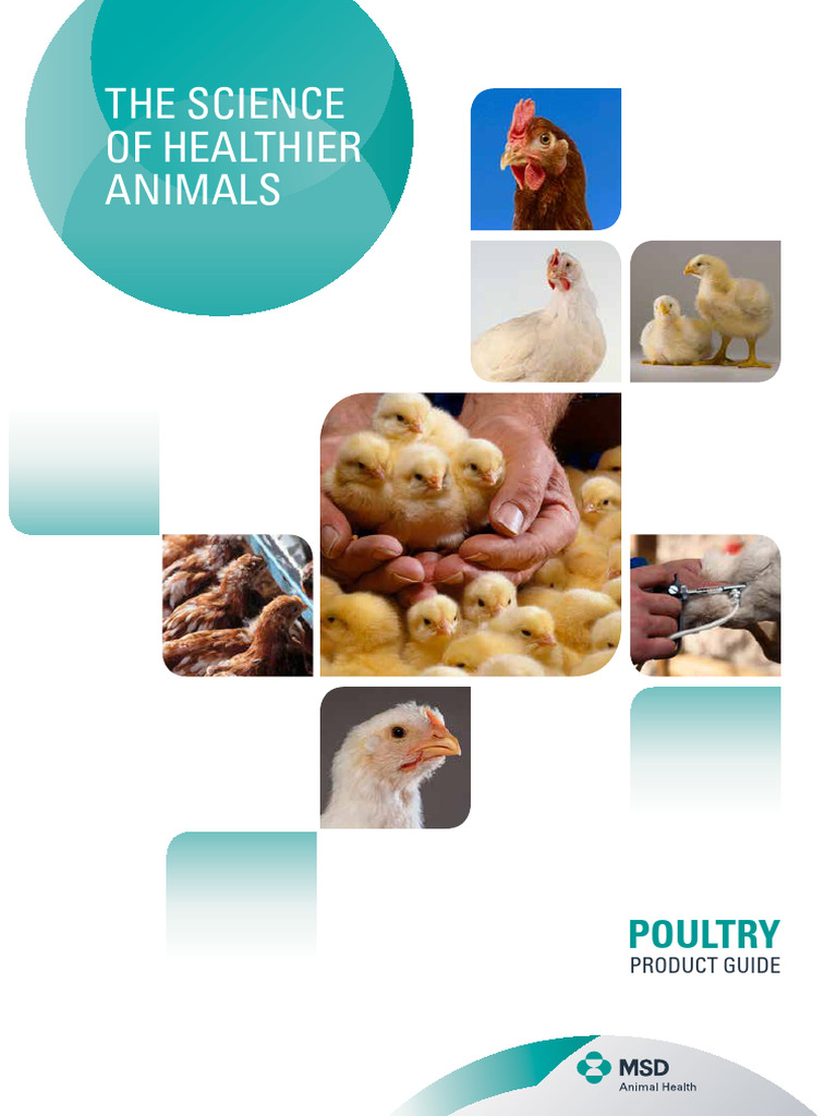 Poultry Guide Tcm57-160710 | PDF | Vaccines | Chemistry