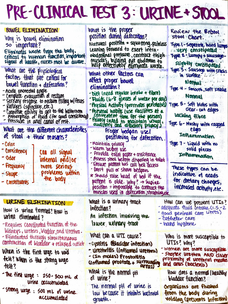 Adobe Scan Apr 21, 2024 | PDF