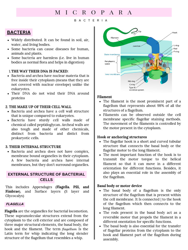 Micropara Reviewer | PDF | Fungus | Protozoa