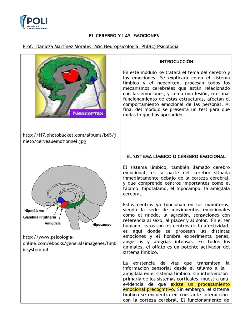 El Cerebro Emocional Pdf Tálamo Las Emociones