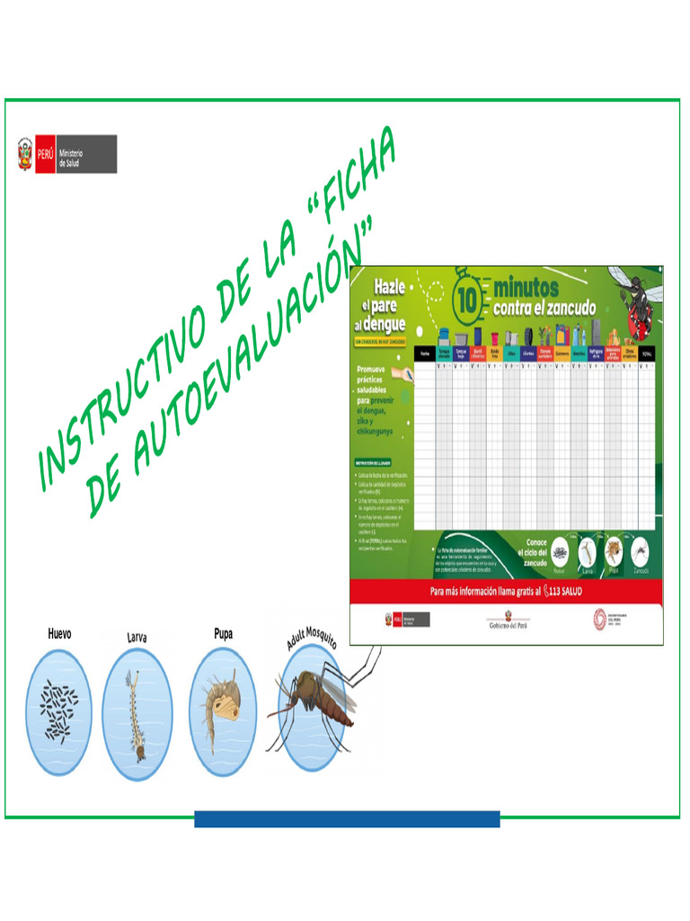 Instructivo FICHA DE AUTOEVALUACION | PDF | Mosquito