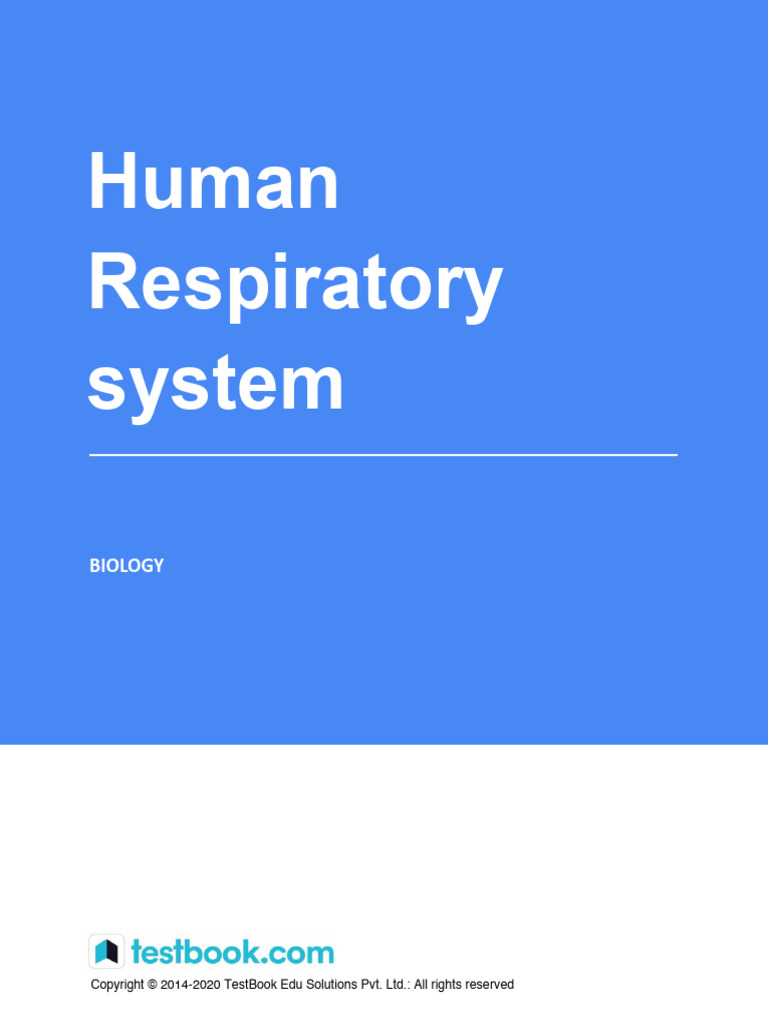 Respiratory System - Study Notes | PDF | Respiratory System | Lung