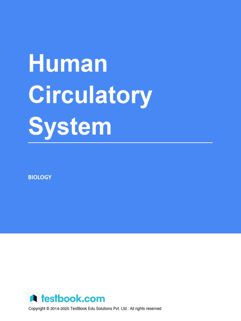 Human Circulatory System - Study Notes | PDF | Heart | Atrium (Heart)