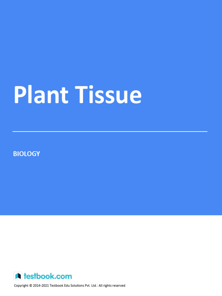Plant Tissue - Study Notes | PDF | Tissue (Biology) | Plant Stem