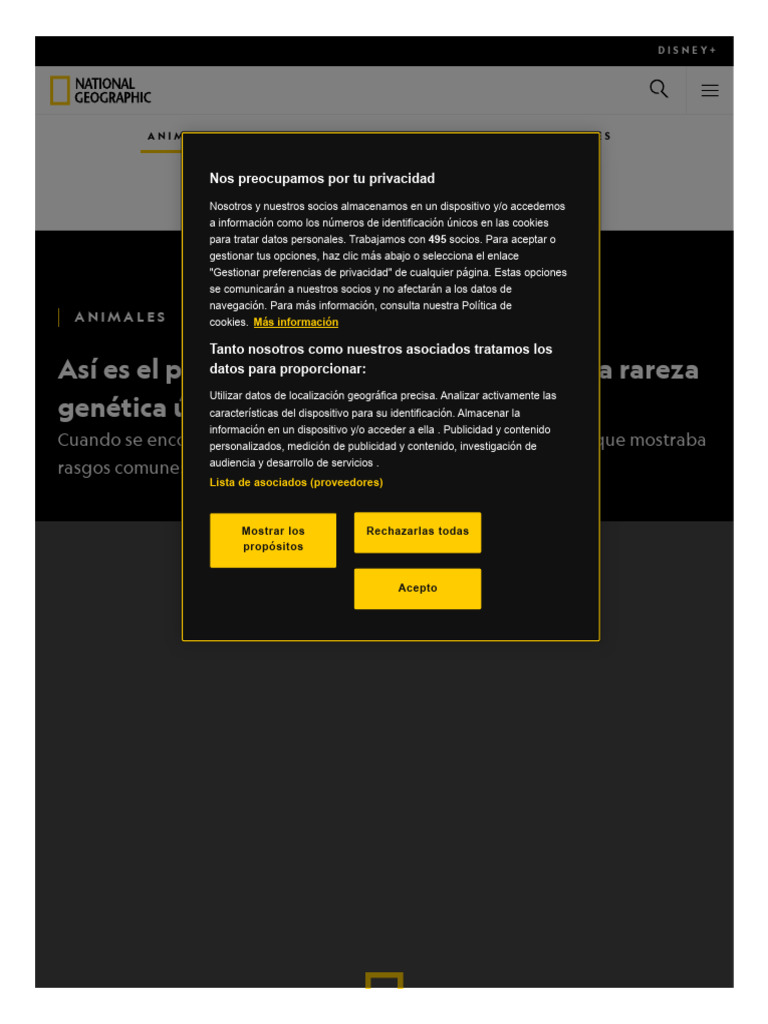 pdf24 Converted-2 | PDF | Cookie HTTP | Privacidad en internet