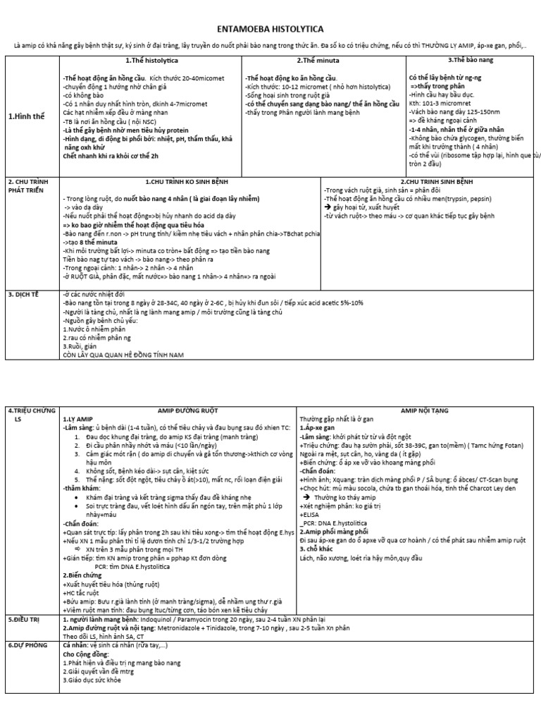 B3 ENTAMOEBA HISTOLYTICA | PDF